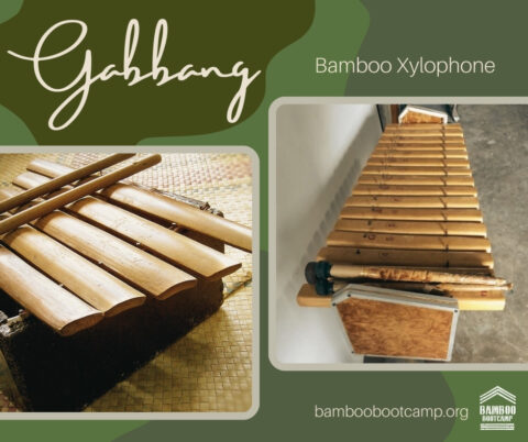Amazing Philippine Indigenous Bamboo Musical Instruments – Bamboo Music ...