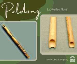 Amazing Philippine Indigenous Bamboo Musical Instruments - Bamboo Music ...