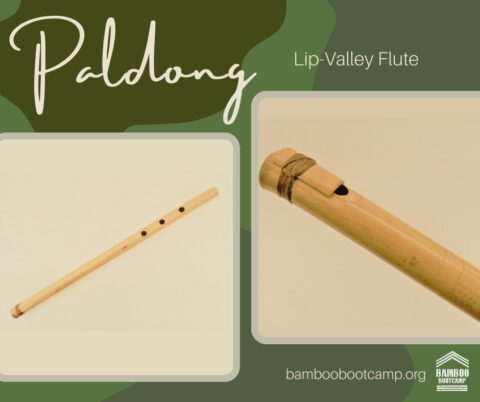 Amazing Philippine Indigenous Bamboo Musical Instruments – Bamboo Music ...
