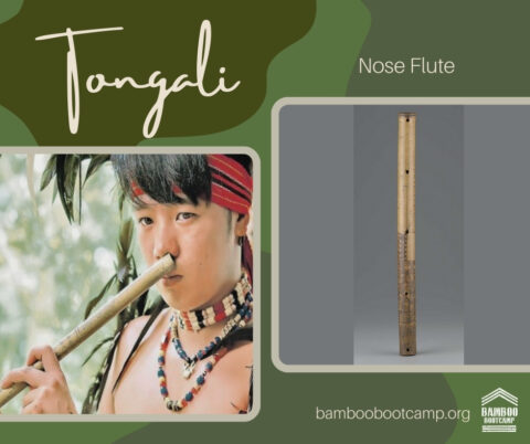 Amazing Philippine Indigenous Bamboo Musical Instruments – Bamboo Music ...