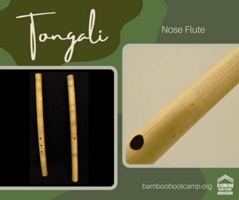 Amazing Philippine Indigenous Bamboo Musical Instruments – Bamboo Music ...