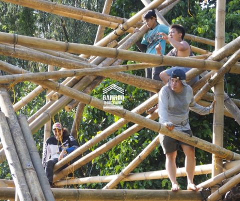 Use of bamboo in construction 2023: Bamboo as a Mainstream Construction Material and its ...